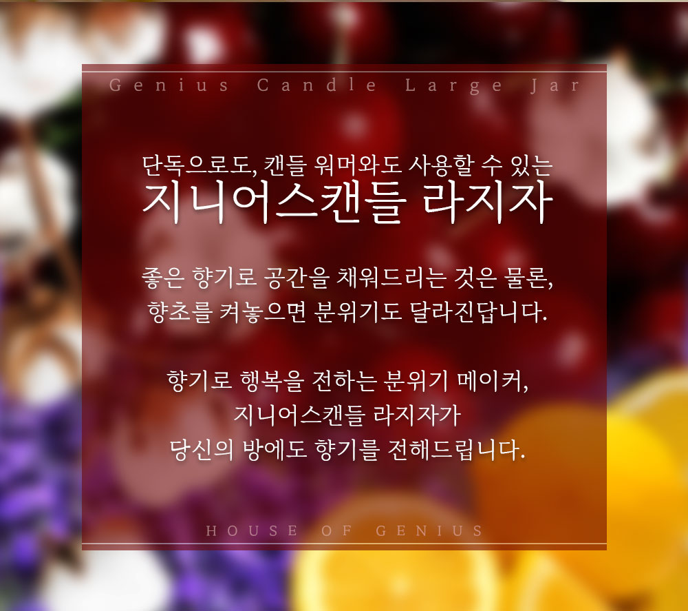 AROMACOMPANY 지니어스 캔들 라지자 향초 인테리어 - 핫트랙스